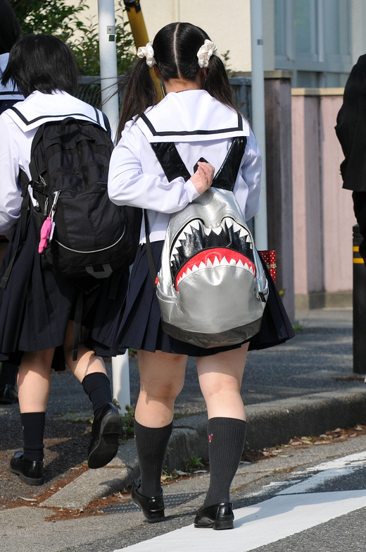 ぽっちゃりJK通学風景03 - HIROPON