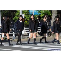 制服JK通学編089 - HIROPON